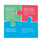 Qualifications and training - Play Wales